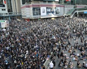 Best Local Companies in The USA